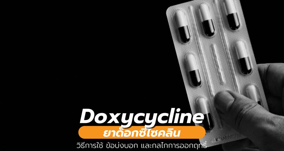 ยา Doxycycline ข้อมูล กลไกการออกฤทธิ์ ผลค้างเคียง และข้อควรระวัง ...